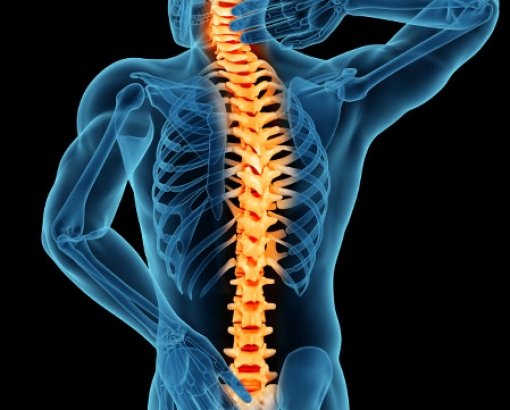 spine - Competitive Edge Physiotherapy